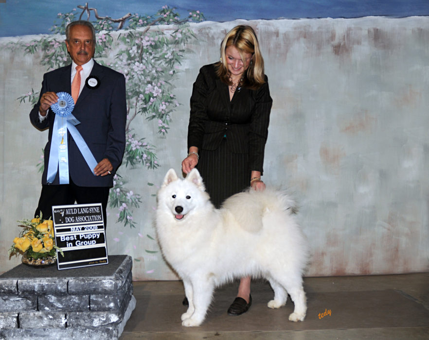 Rainbow Bridge | Dog Categories | Sancha Samoyeds